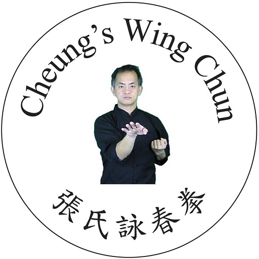 Why learn Wing Chun ? – Cheung’s Wing Chun